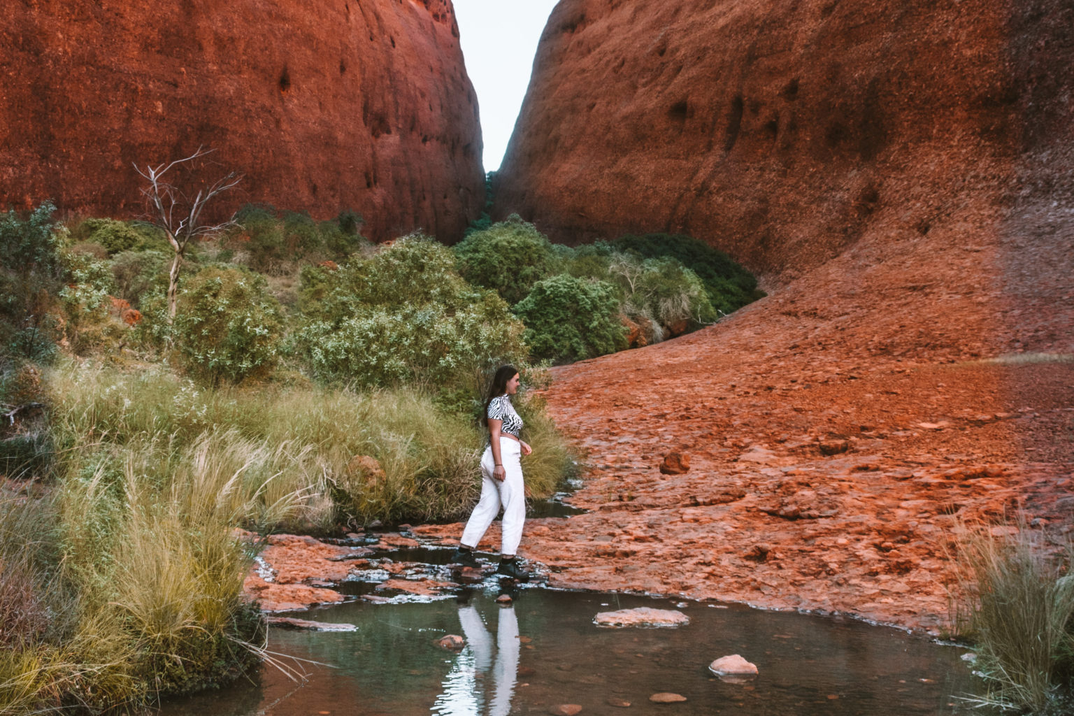 Plan your trip to Uluru-Kata Tjuta National Park